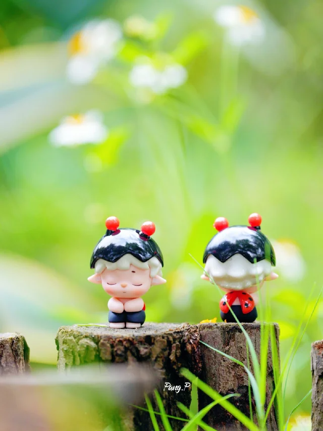 Heyone MINI SECRET GARDEN Series Bean – Joyqueen Land